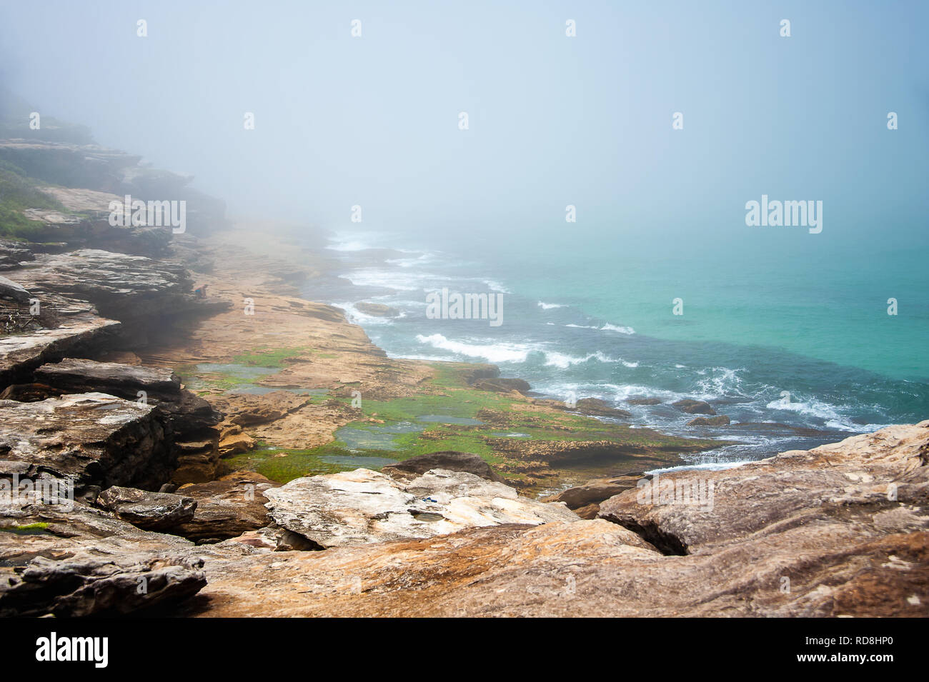 Coastal scene, Sydney, New South Wales, Australia. Colourful rock ...