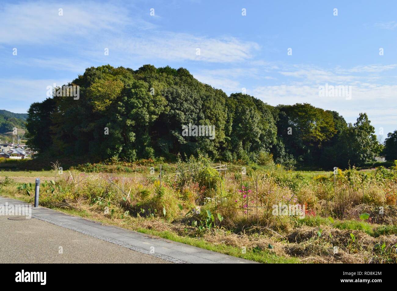 Andon-yama Kofun, baicho-0 Stock Photo - Alamy