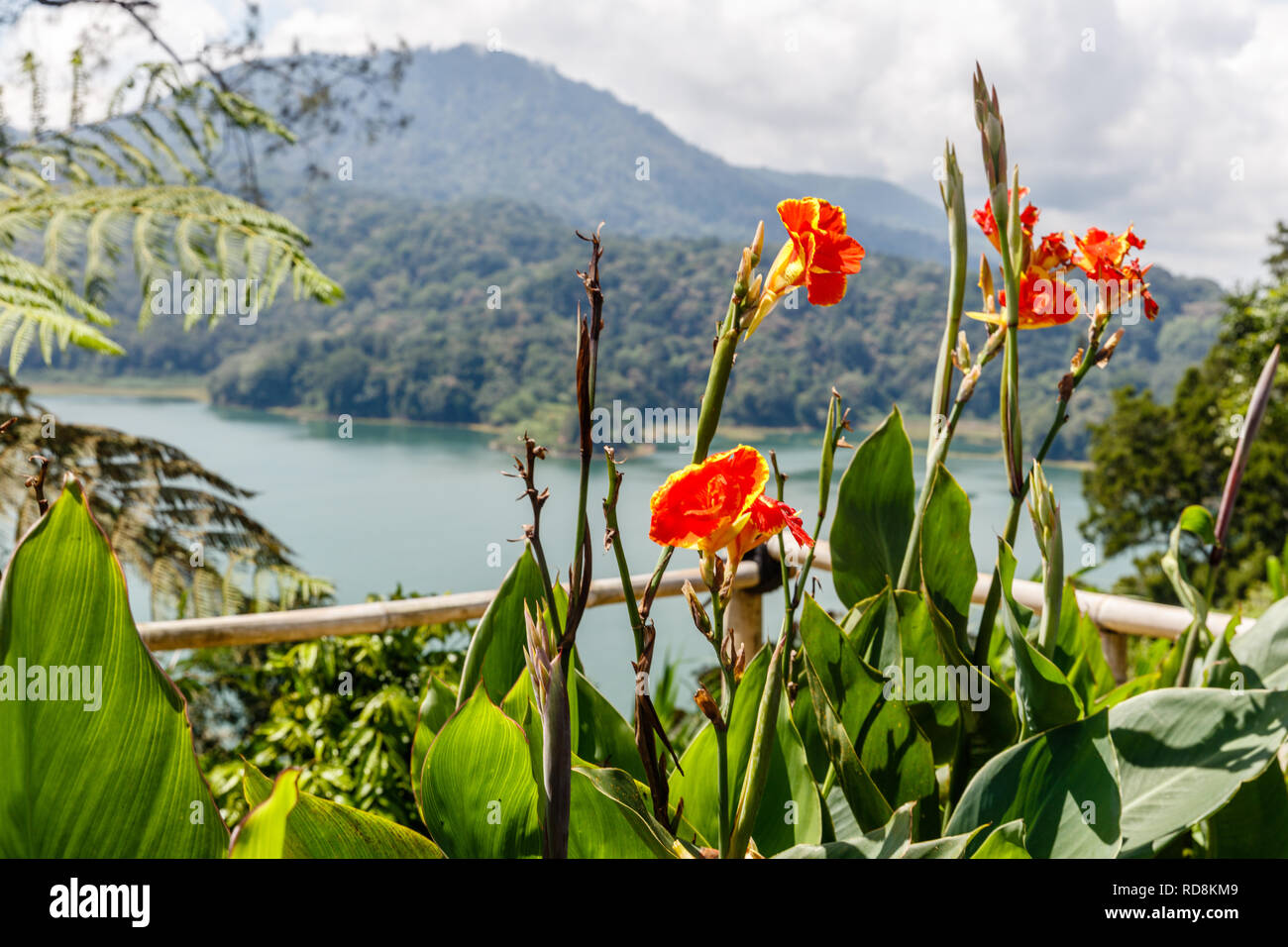 Lake buyan caldera bali hi-res stock photography and images - Alamy