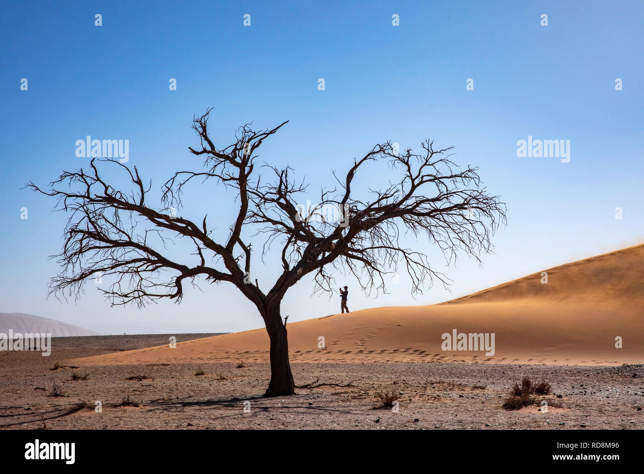 Star dune namibia hi-res stock photography and images - Alamy