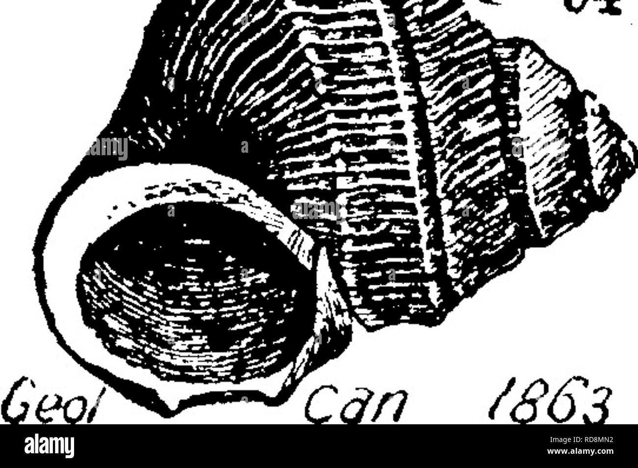 Figure lid Black and White Stock Photos & Images - Alamy