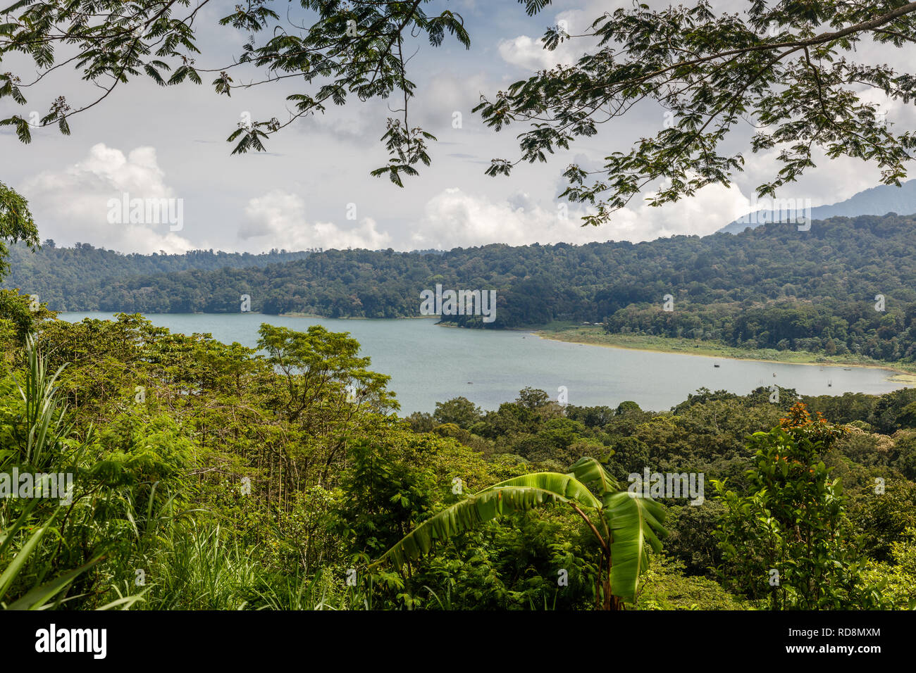 View of Tanblingan lake (Danau Tamblingan) from the top. Bedugul ...