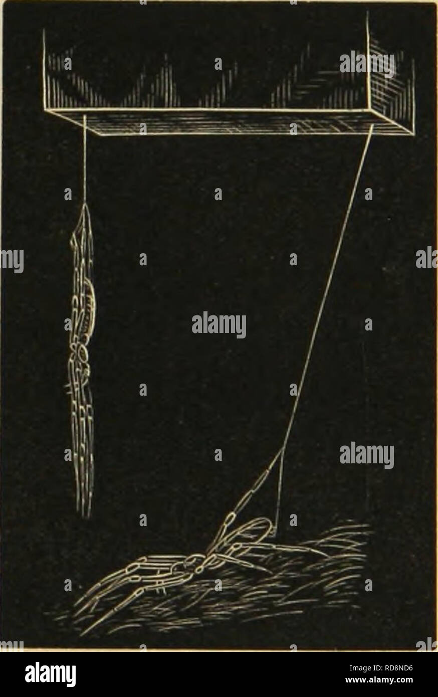 Orbs gate hi-res stock photography and images - Alamy