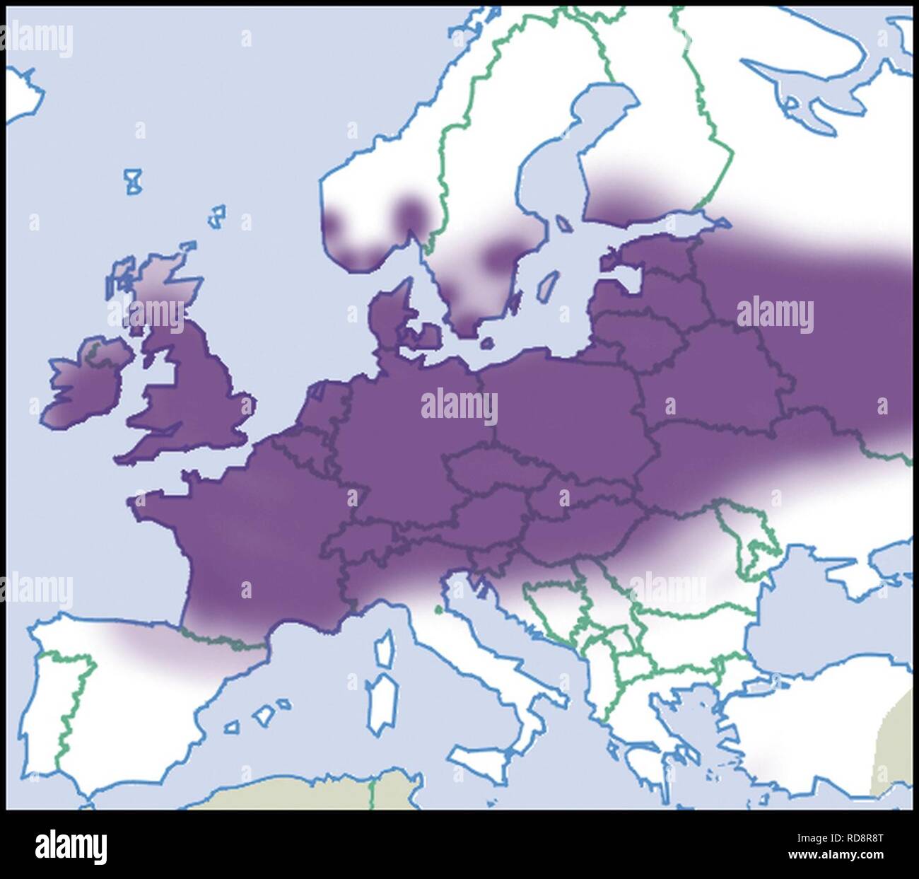 Leucostoma hi-res stock photography and images - Alamy