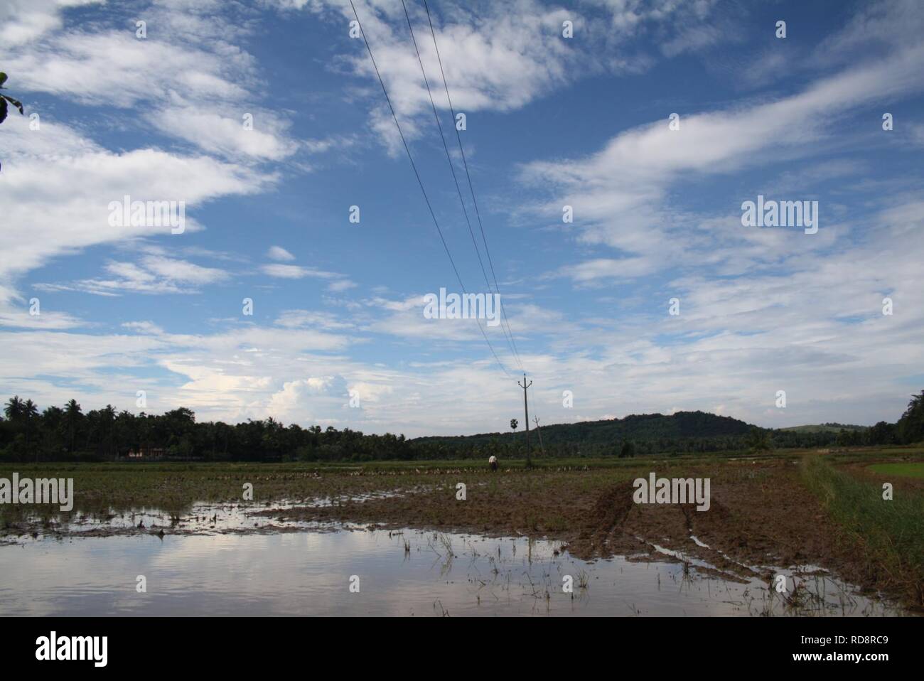 Mangalam hi-res stock photography and images - Alamy