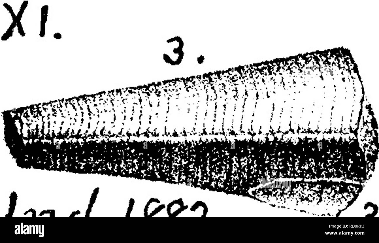 Expanded shale Black and White Stock Photos & Images - Alamy