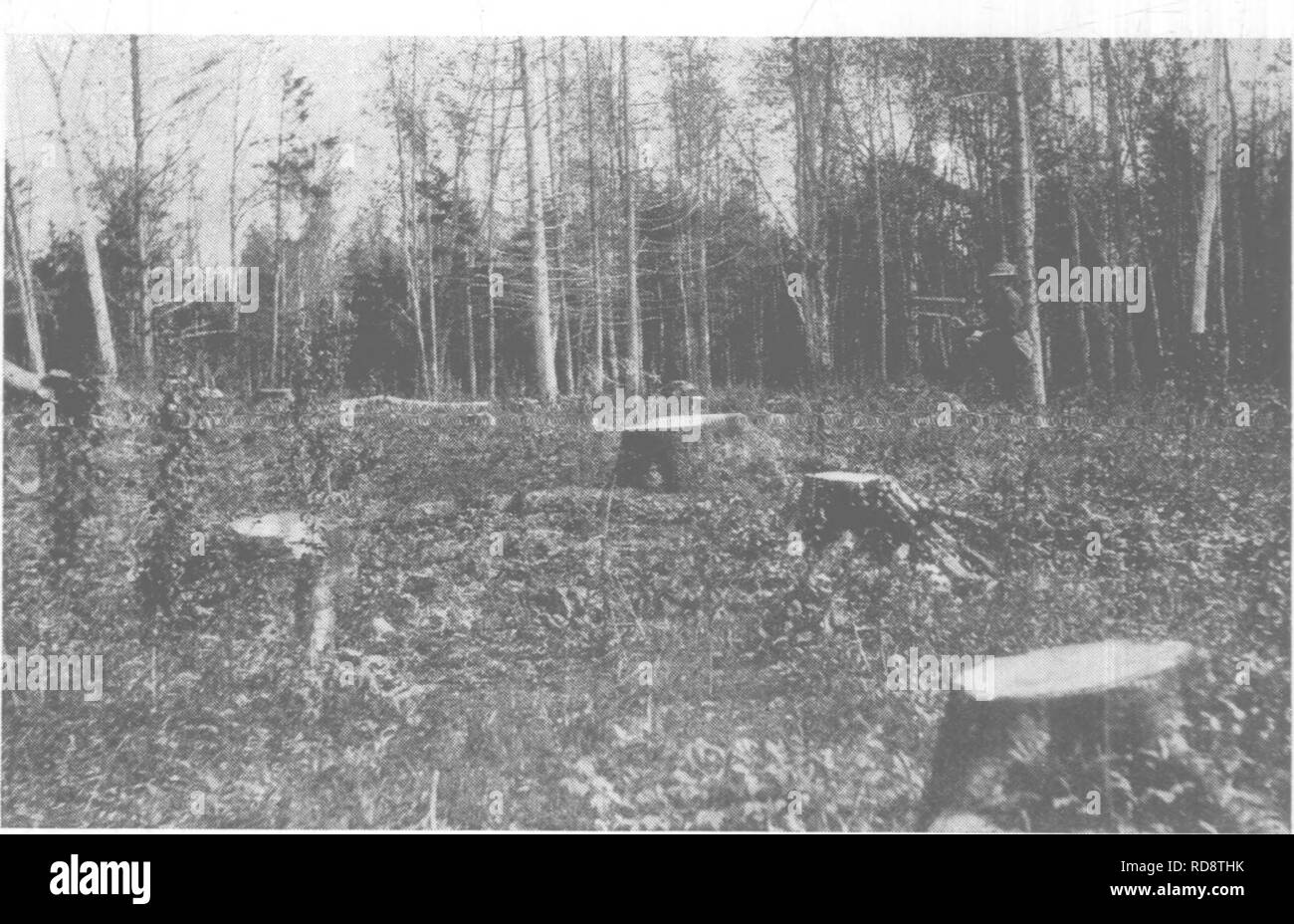 Pile of slash Black and White Stock Photos & Images - Alamy