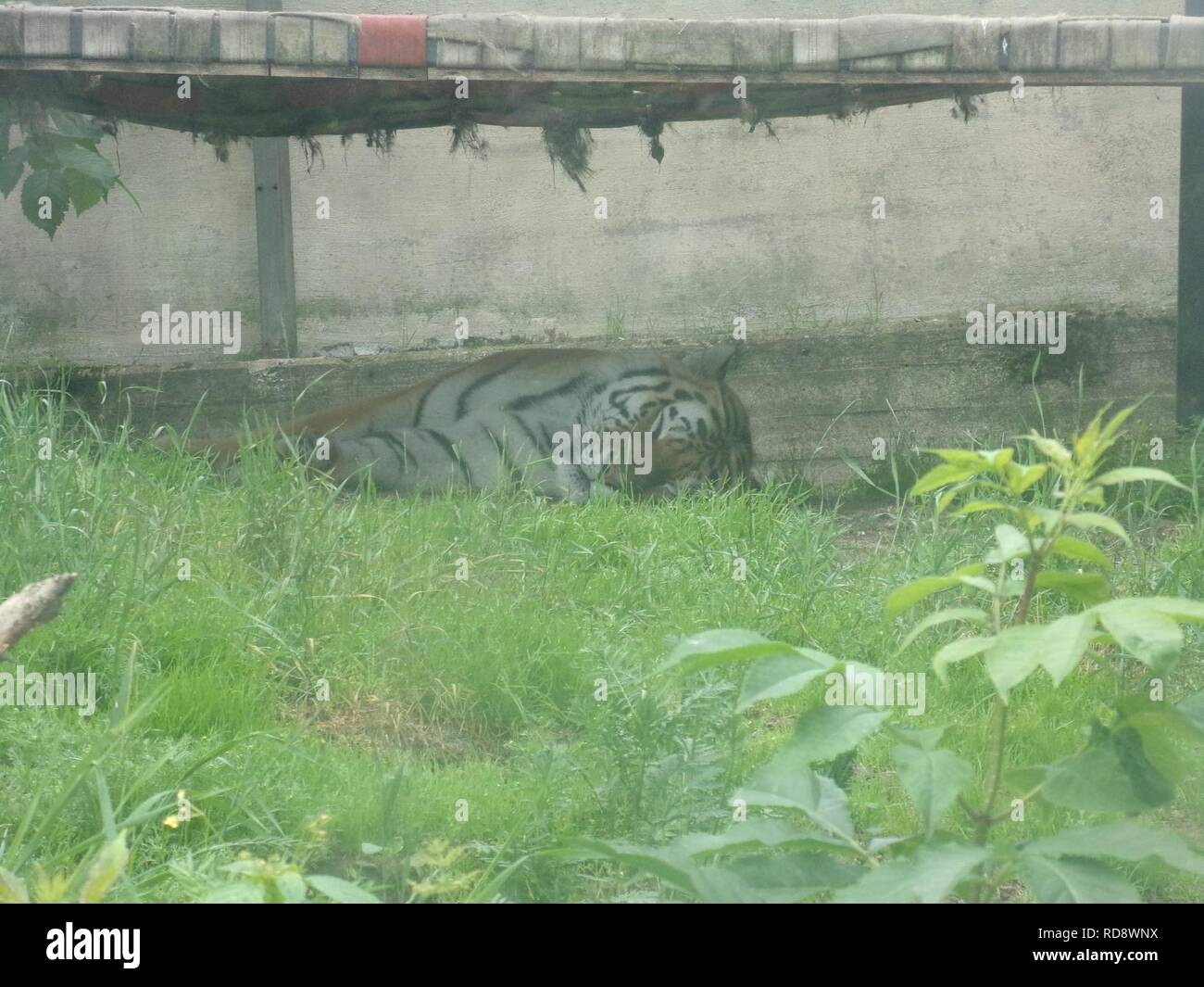 Korkeasaari hi-res stock photography and images - Alamy