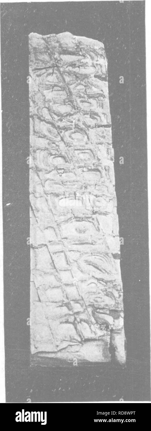 . A treatise on rocks, rock-weathering and soils;. Petrology; Soils. 3 ...