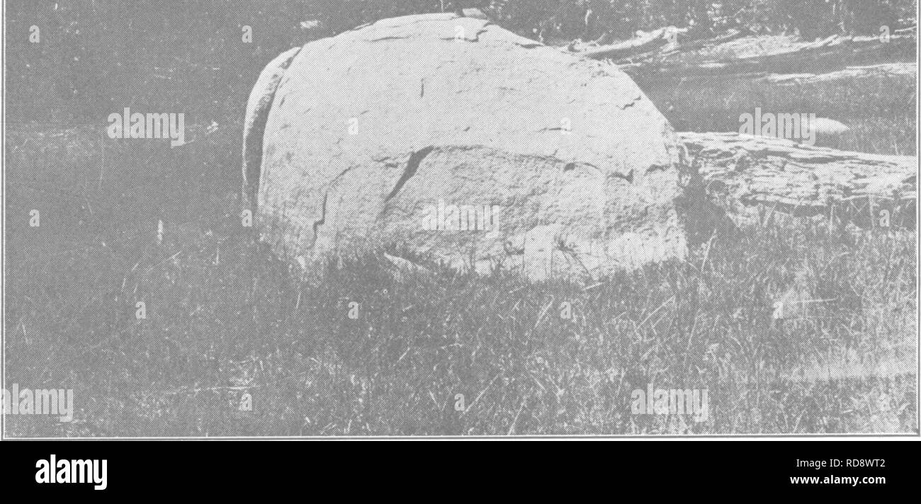 Split rock frost Black and White Stock Photos & Images - Alamy