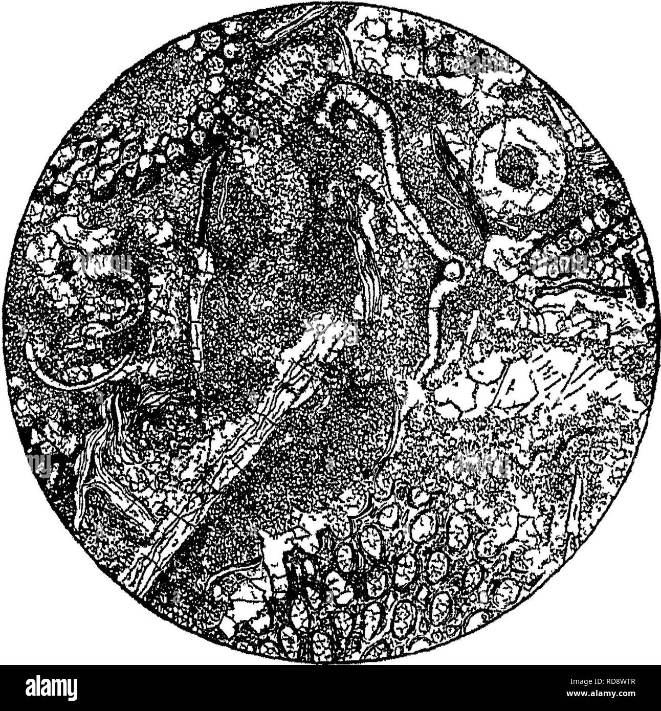 Petroleum like odor hi-res stock photography and images - Alamy