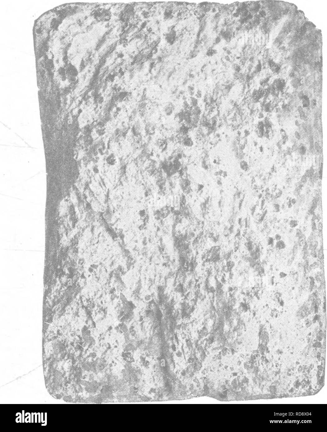 . A treatise on rocks, rock-weathering and soils;. Petrology; Soils ...