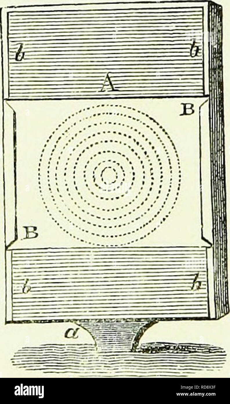 . Bees: their natural history and general management: comprising a full ...