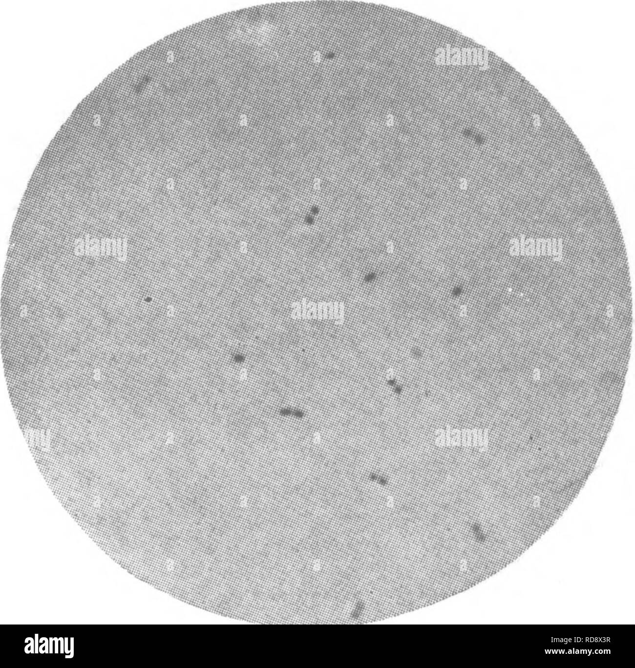 Microbiology plants bacteria Black and White Stock Photos & Images - Alamy