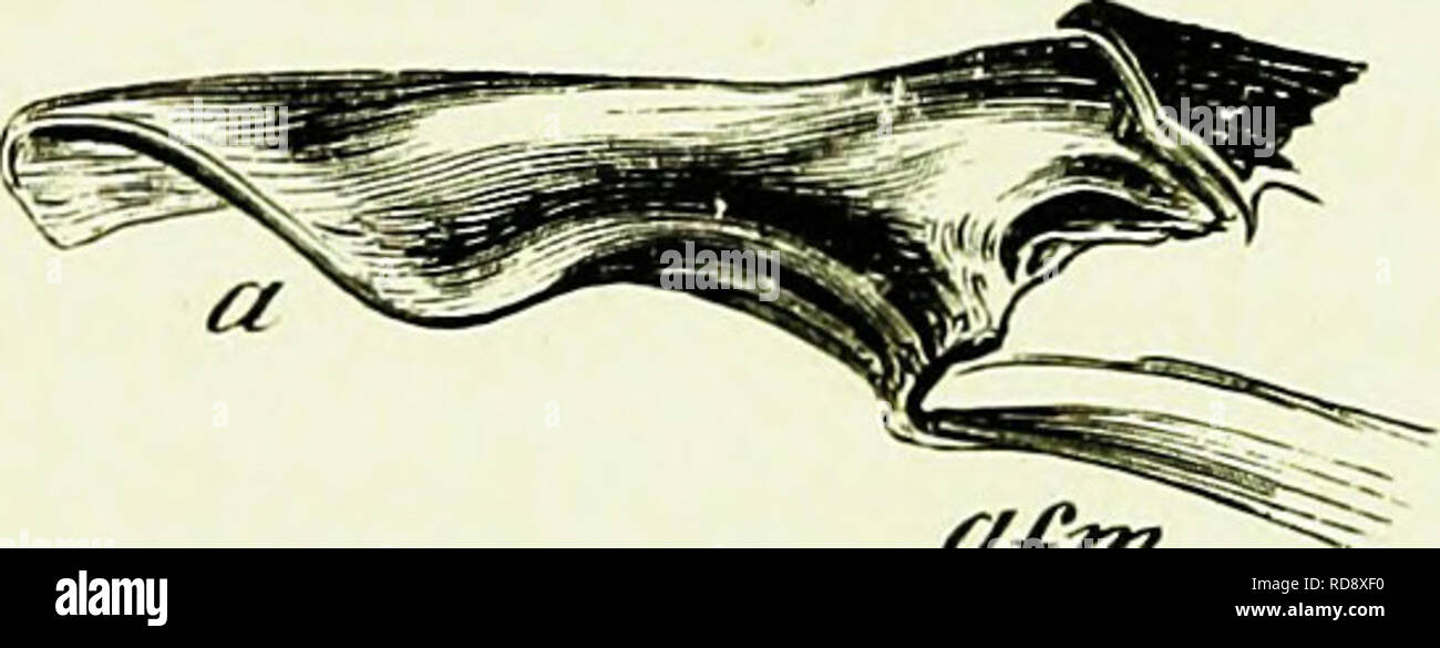 Gfm triangle hi-res stock photography and images - Alamy