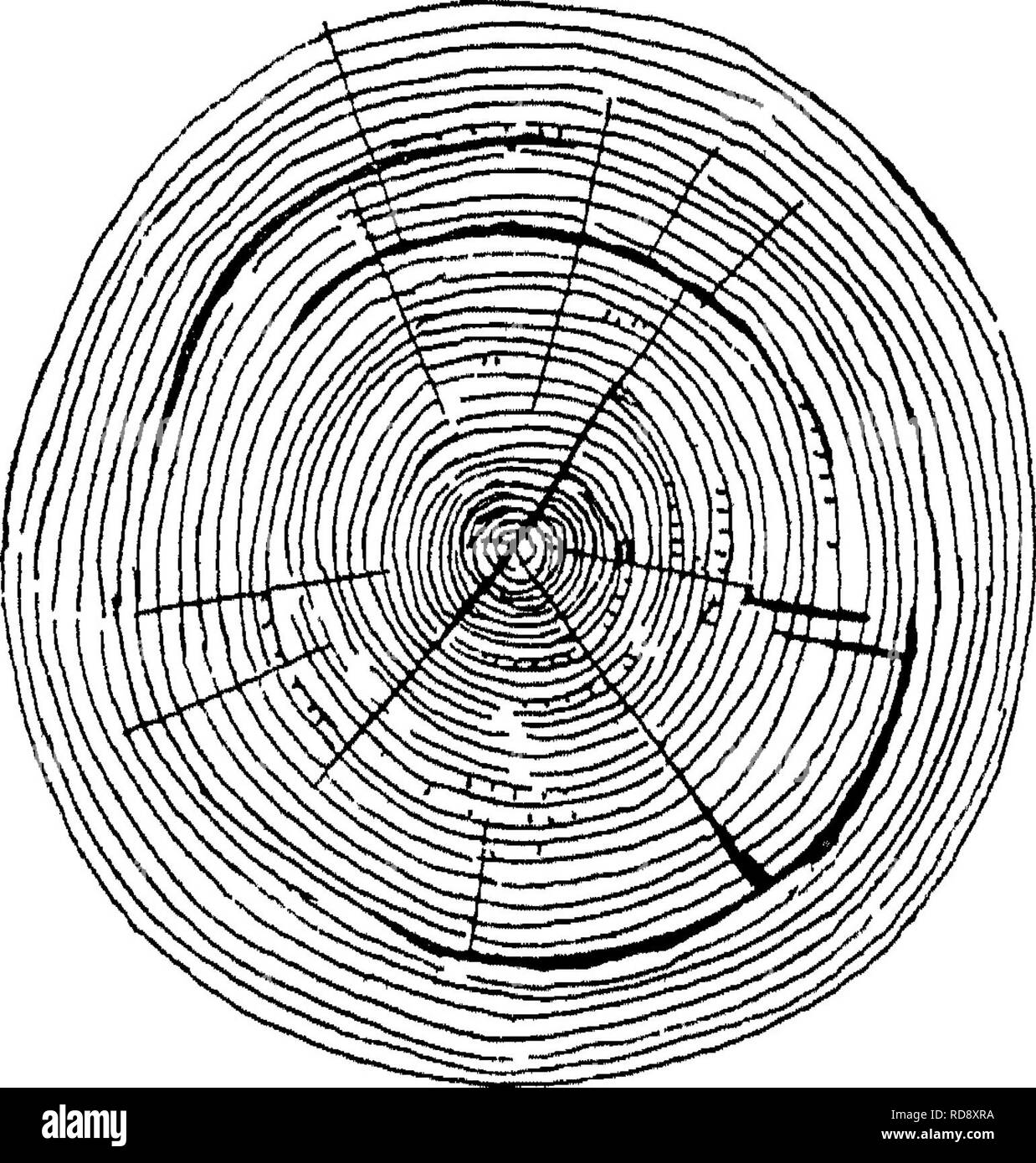 Mobur hi-res stock photography and images - Alamy