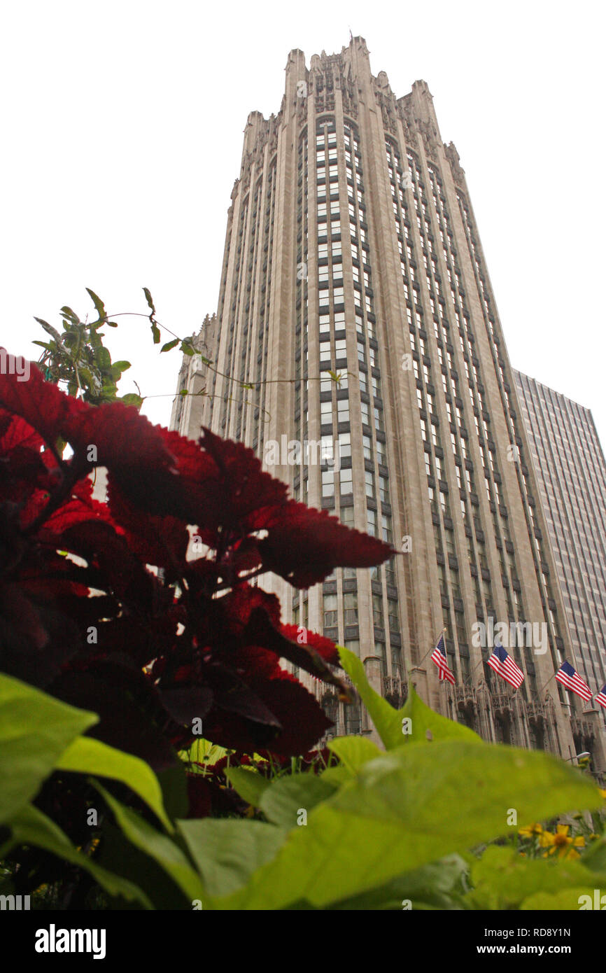 The Chicago Tribune building in Chicago, IL, USA Stock Photo - Alamy