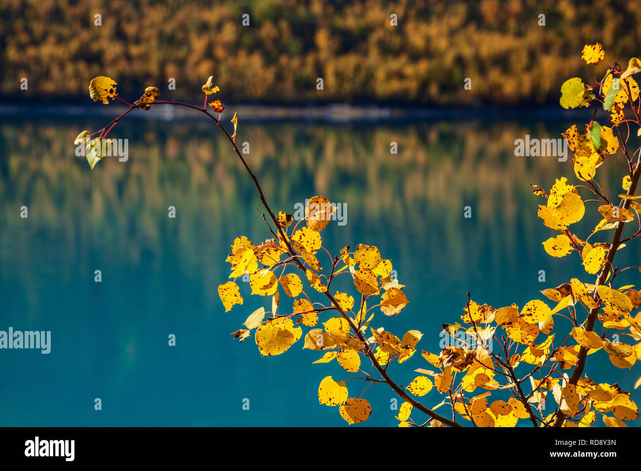 Stand out colours hi-res stock photography and images - Alamy