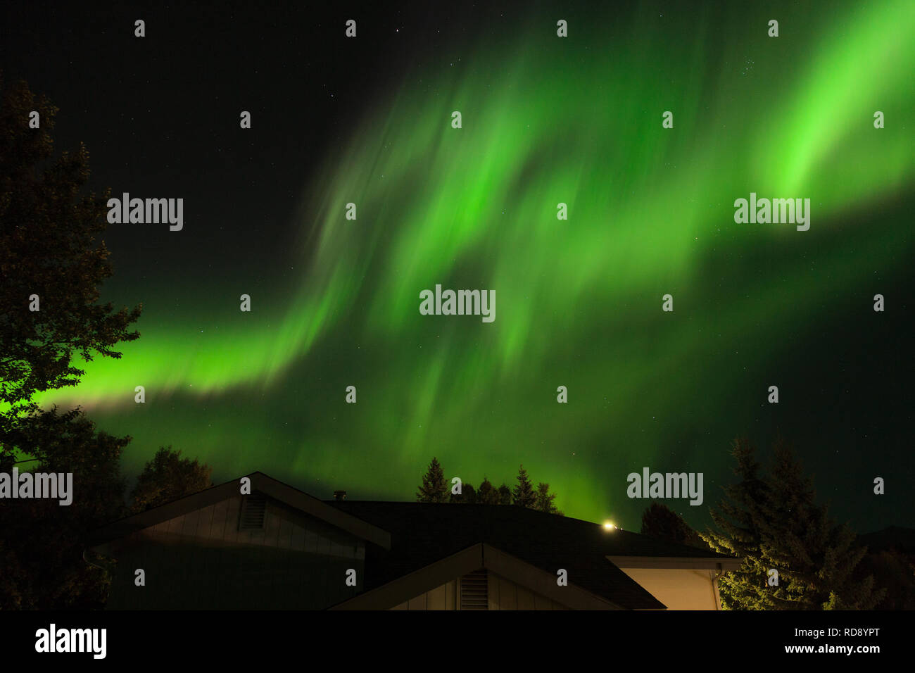 The northern lights dance in the night sky above the roof tops of ...