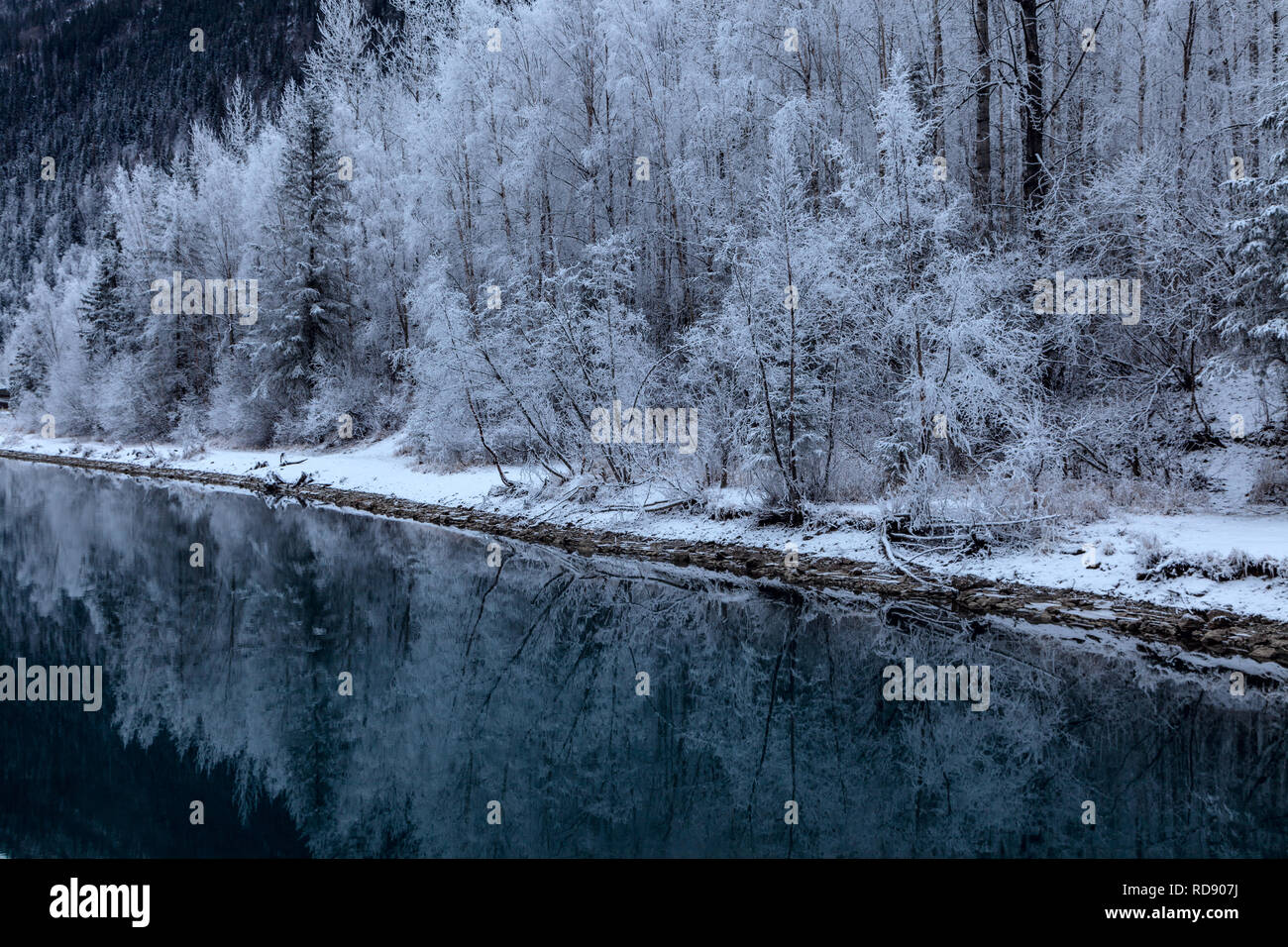 Frost coated trees are reflected in the turquoise waters of Eklutna ...