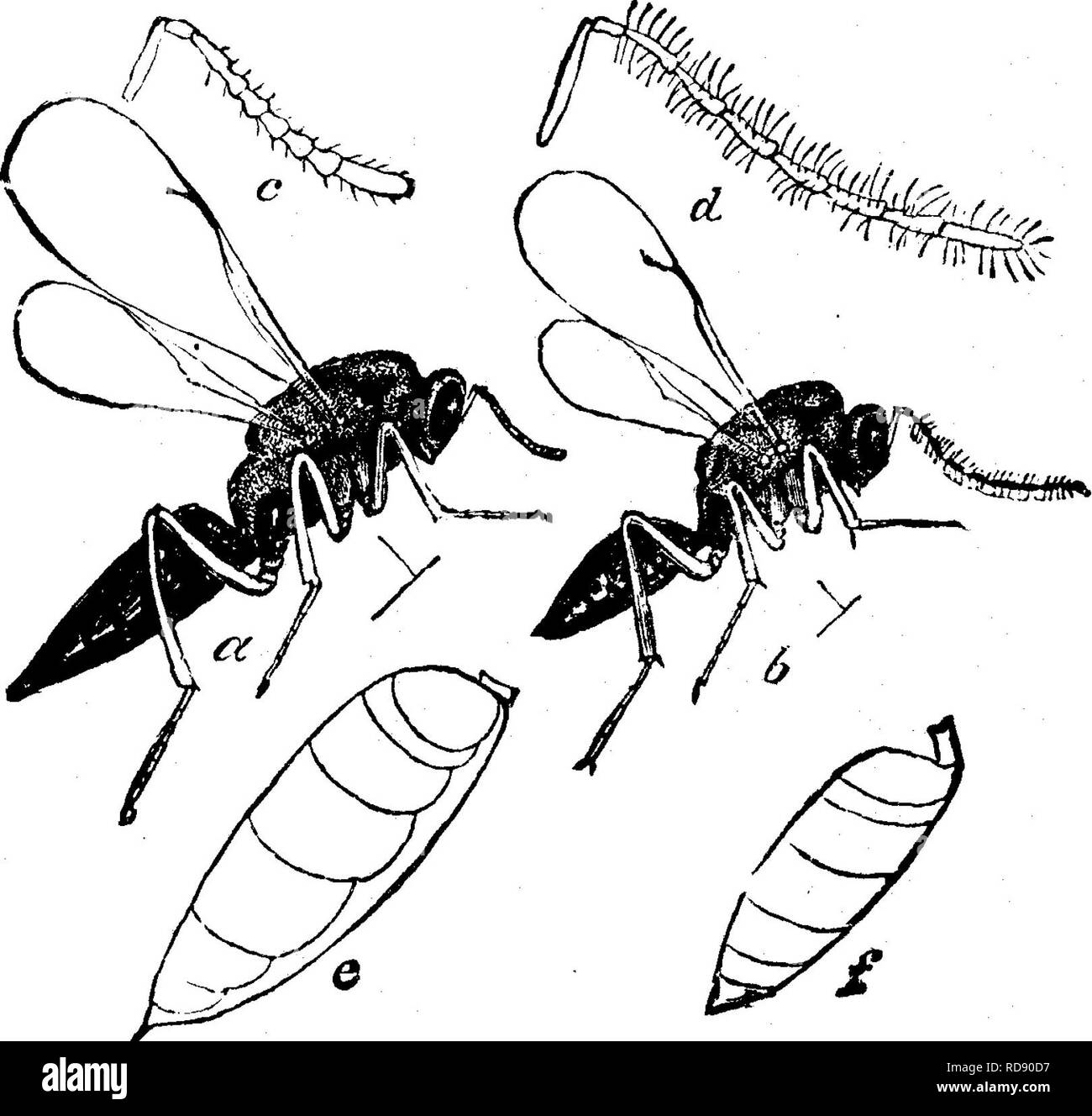 Contain bunches Cut Out Stock Images & Pictures - Alamy