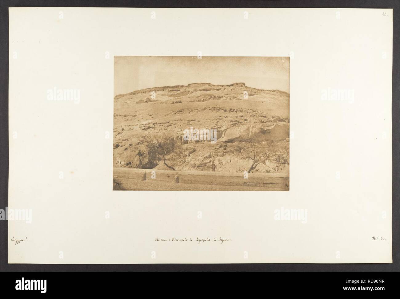 Lycopolis hi-res stock photography and images - Alamy