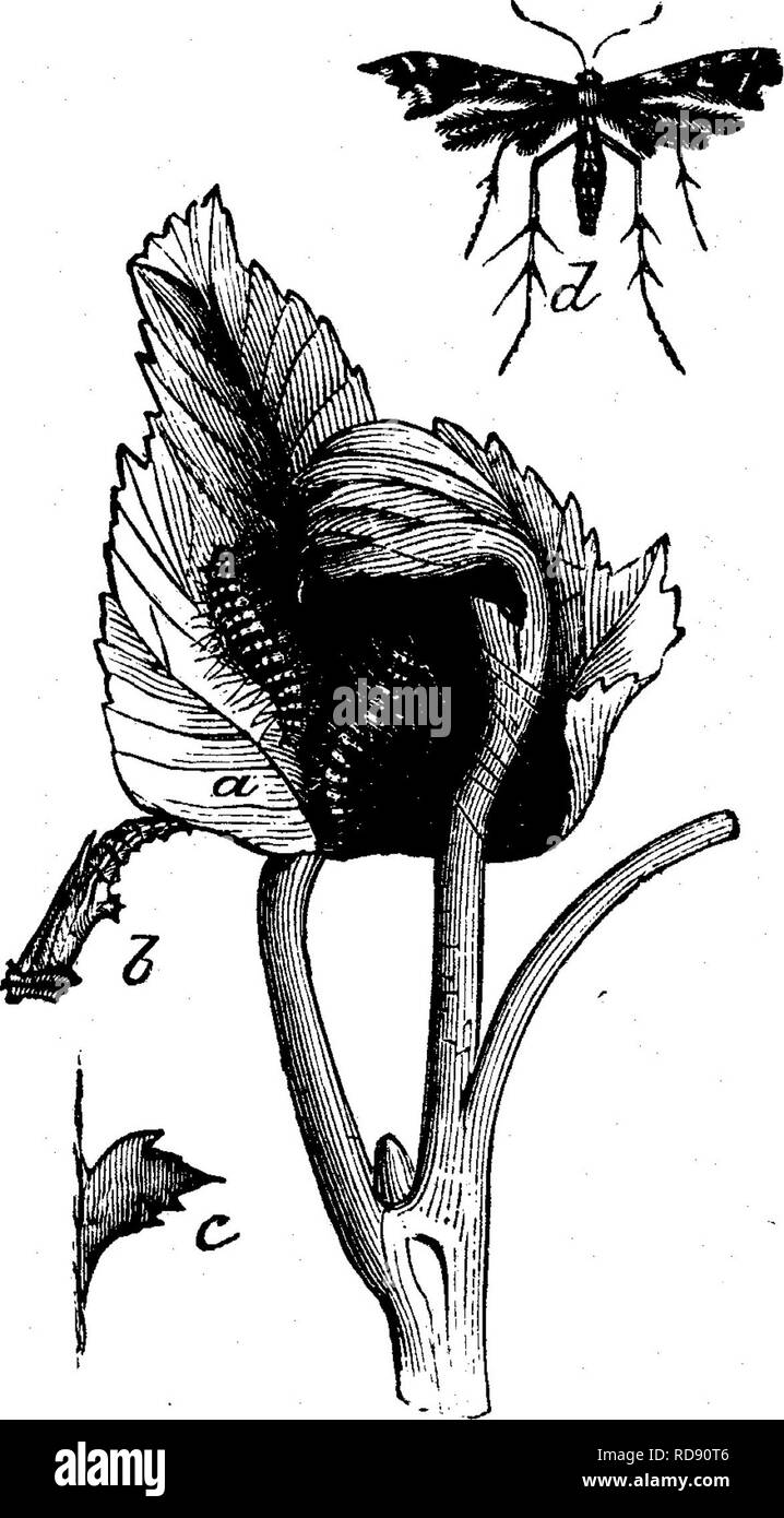 Angular cuts hi-res stock photography and images - Alamy