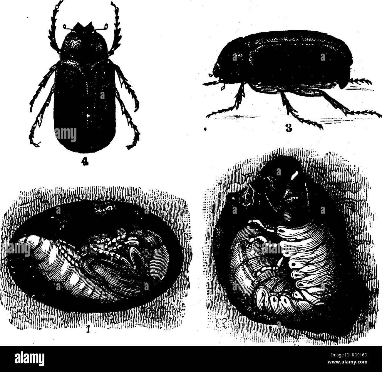 Jaws of the earth Black and White Stock Photos & Images - Alamy