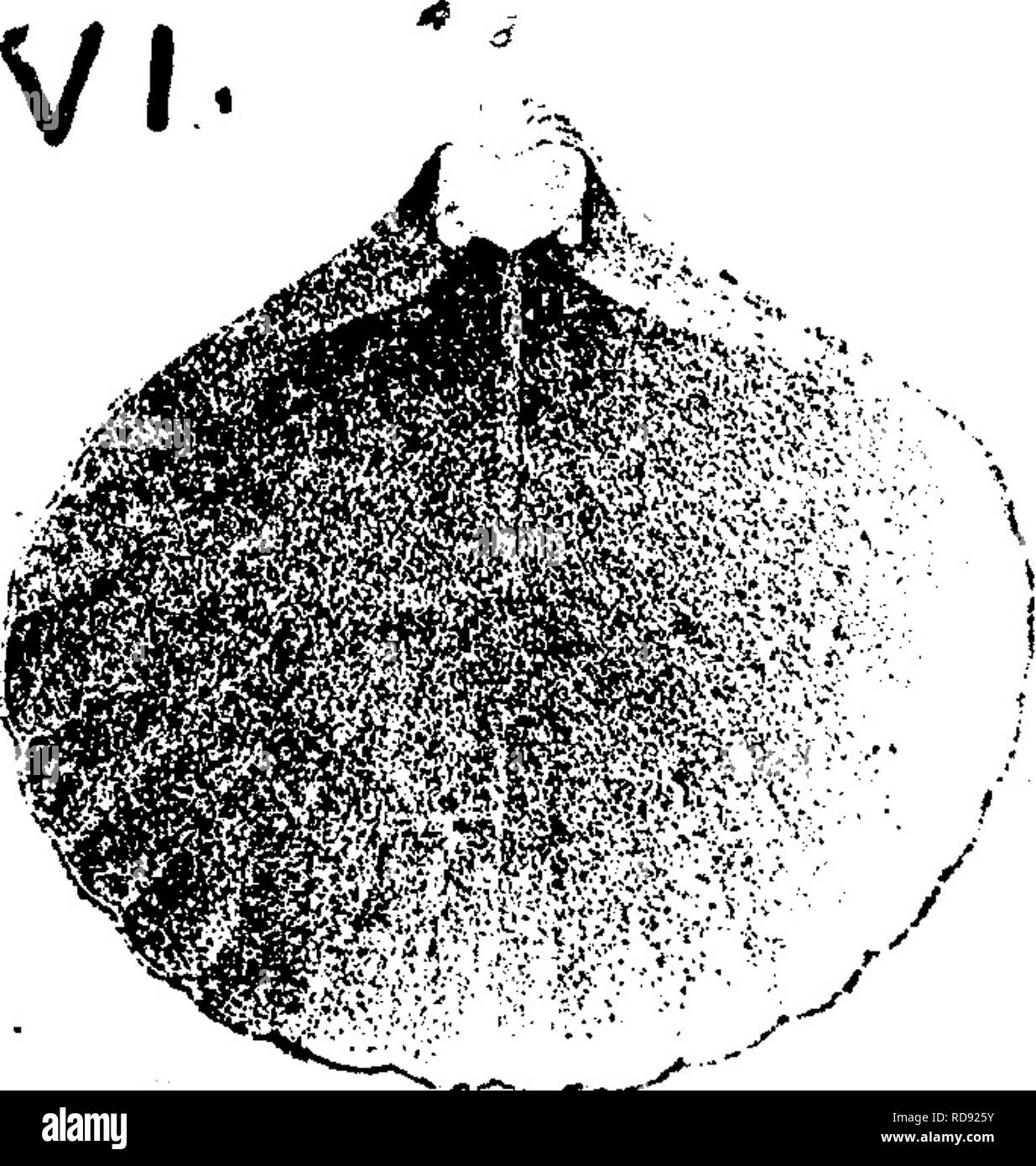 Riddlesburg hi-res stock photography and images - Alamy