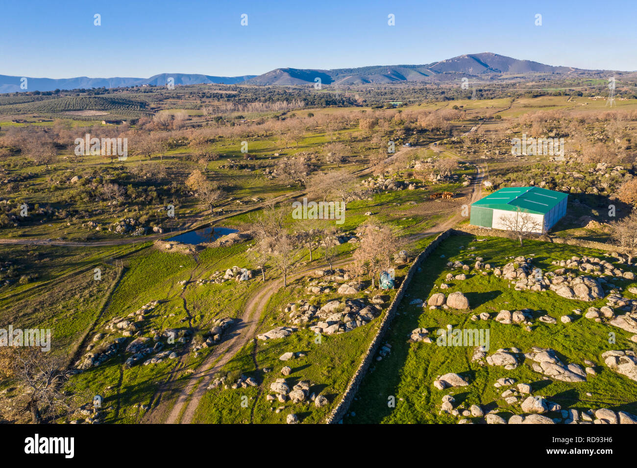 Spanish Scenery Of Farms