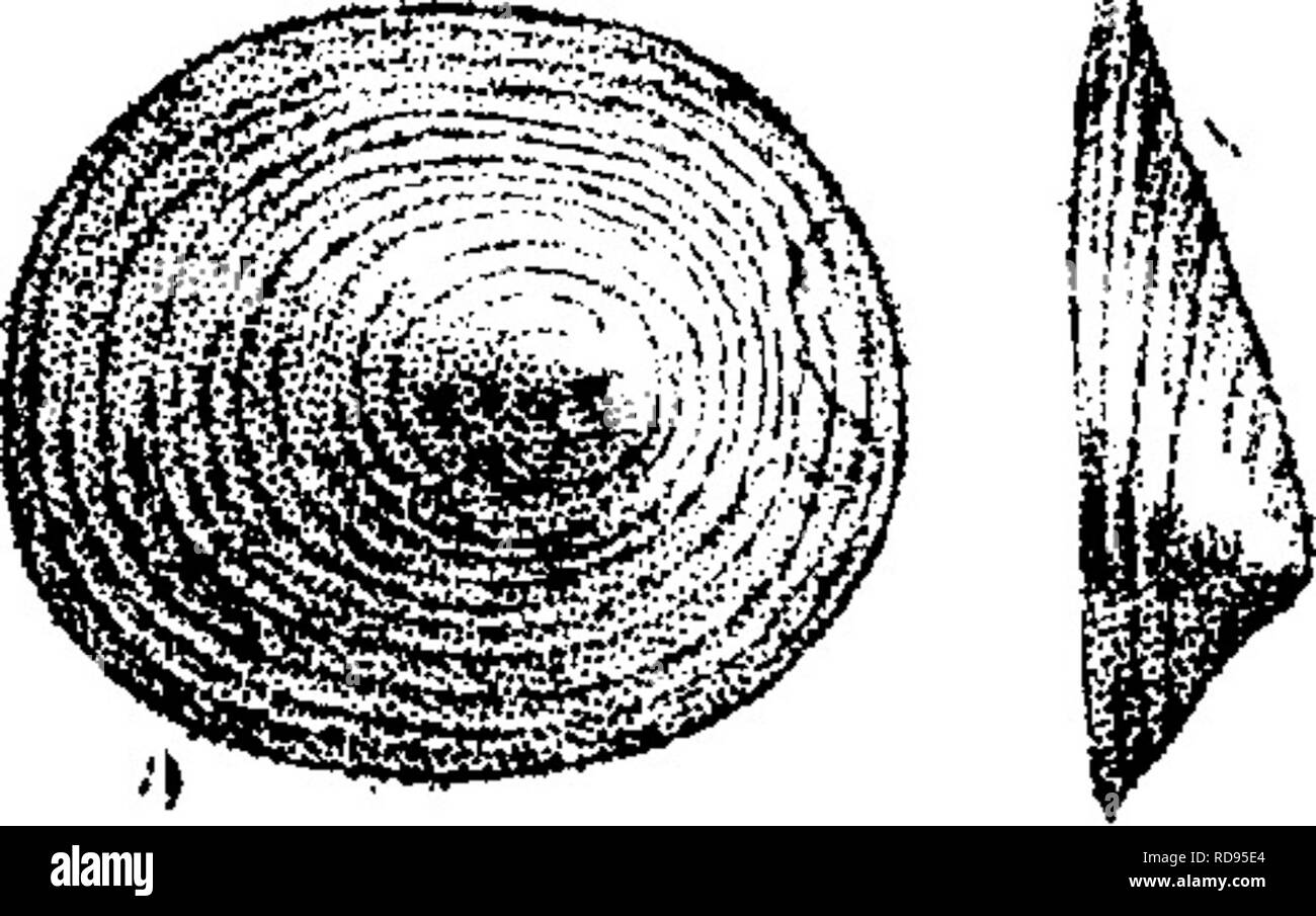 Coal shales hi-res stock photography and images - Alamy