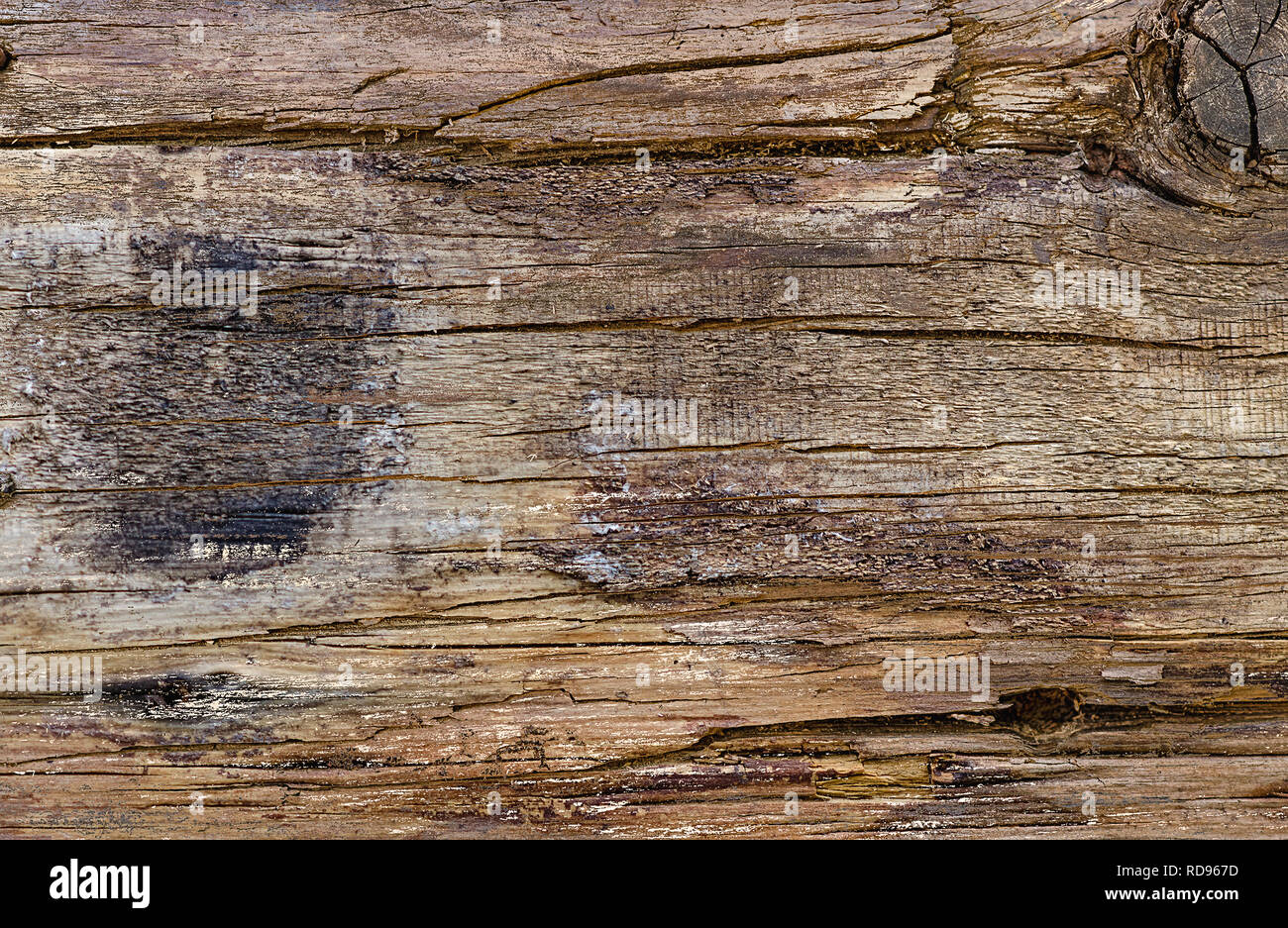 The wood texture is the art work Stock Photo - Alamy