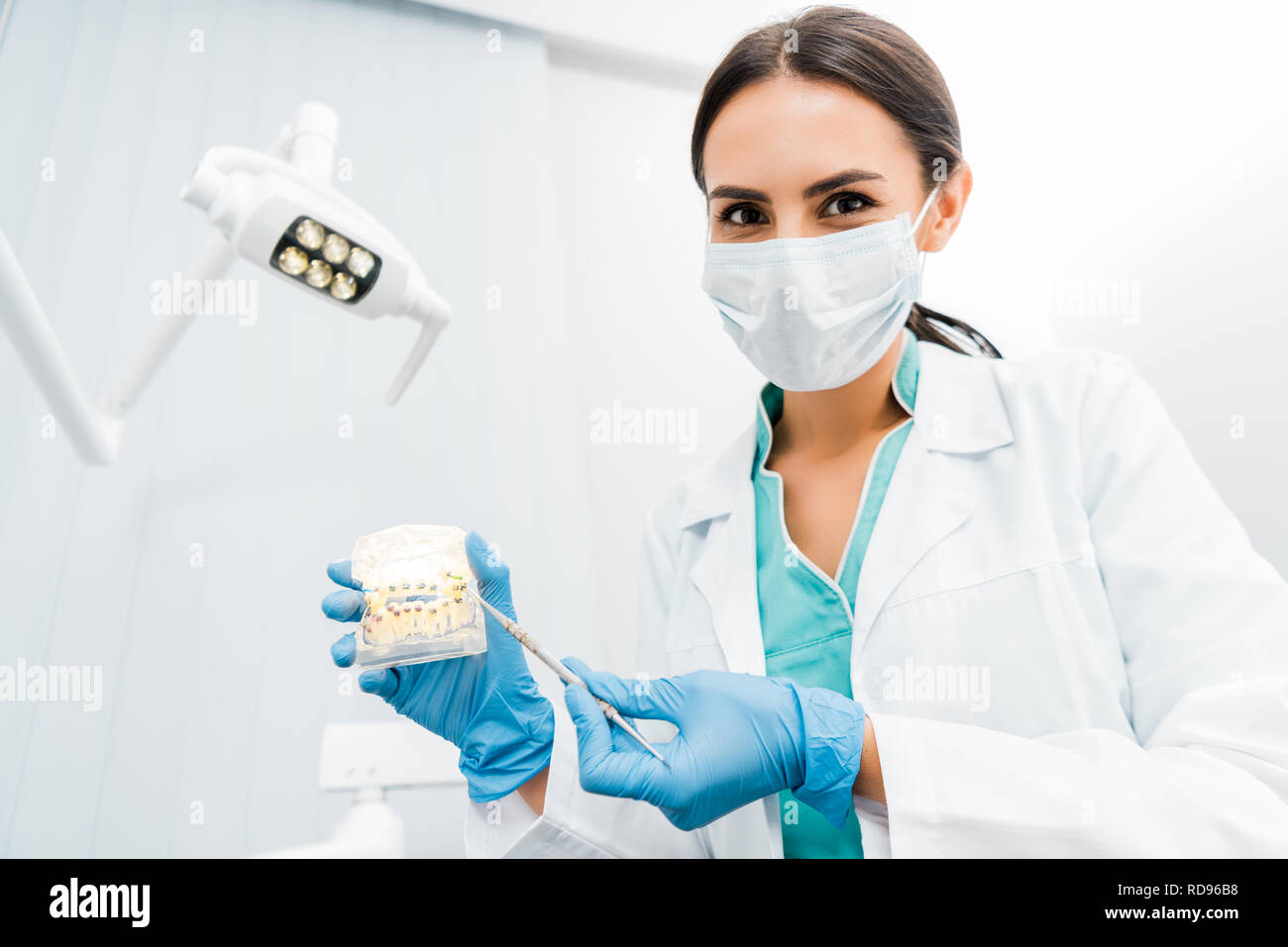 female stomatologist holding dental jaw model with braces Stock Photo ...