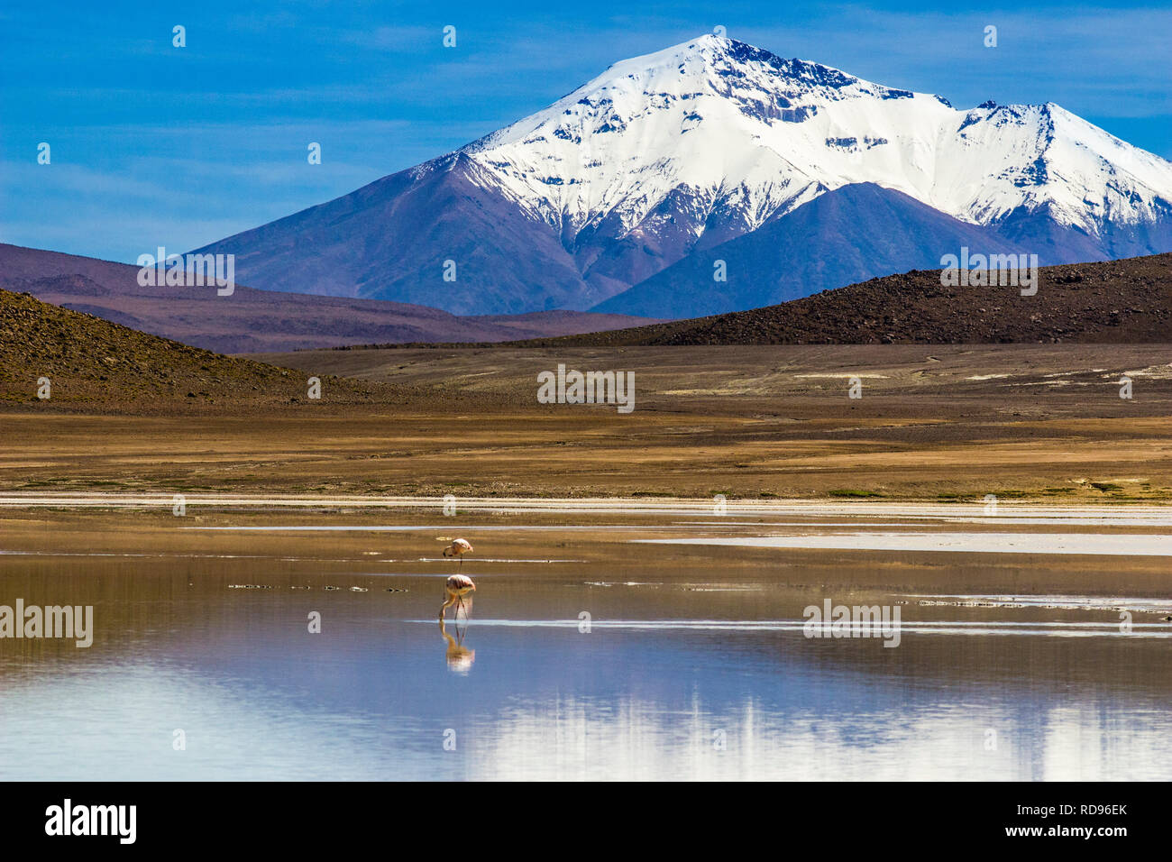 Chiarcota lagoon hi-res stock photography and images - Alamy