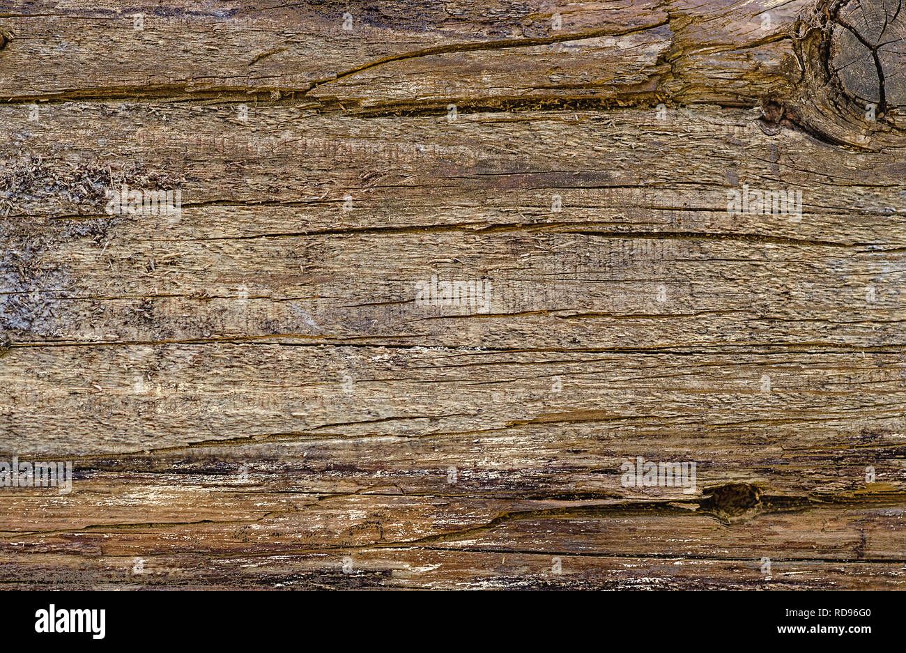 The wood texture is the art work Stock Photo - Alamy