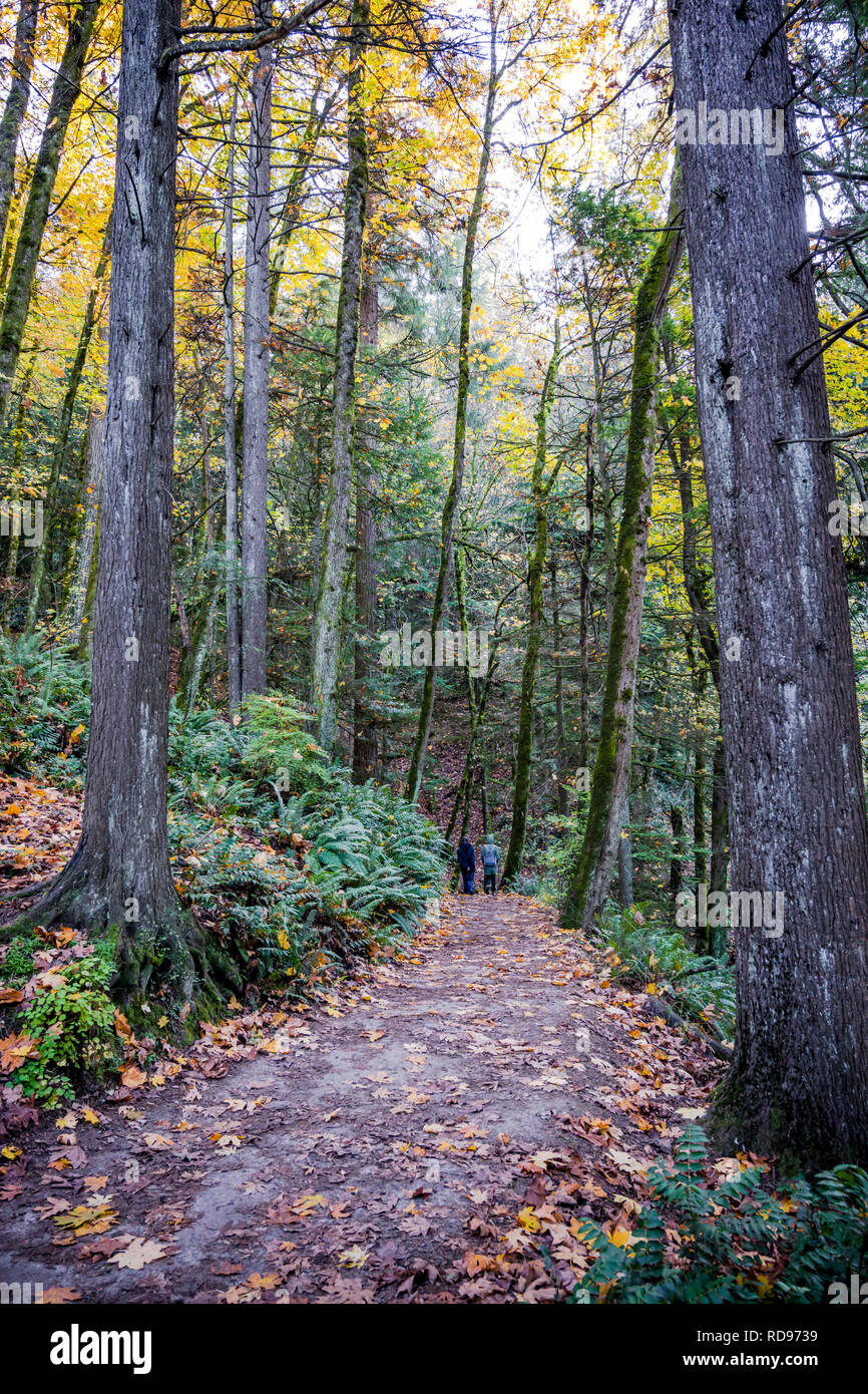 Blue jackets hi-res stock photography and images - Alamy