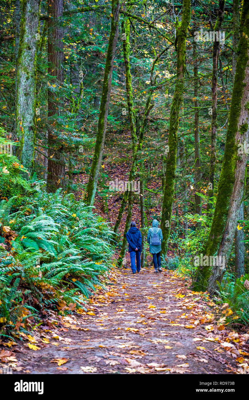 Blue jackets hi-res stock photography and images - Alamy