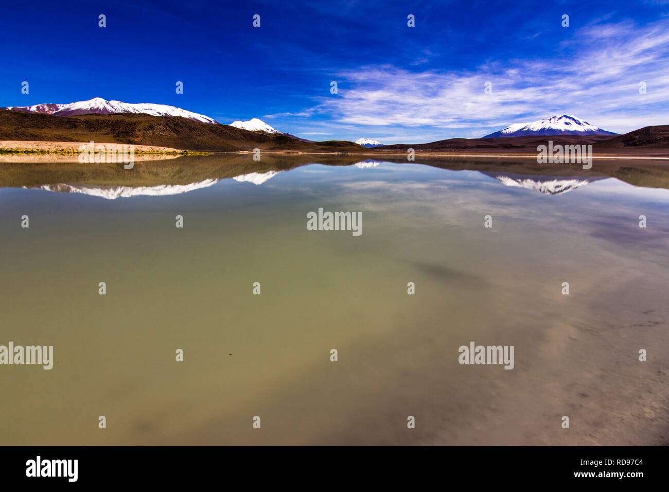 Chiarcota hi-res stock photography and images - Alamy