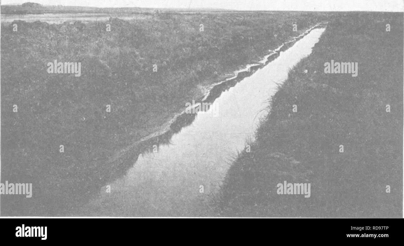 . Productive soils; the fundamentals of successful soil management and ...