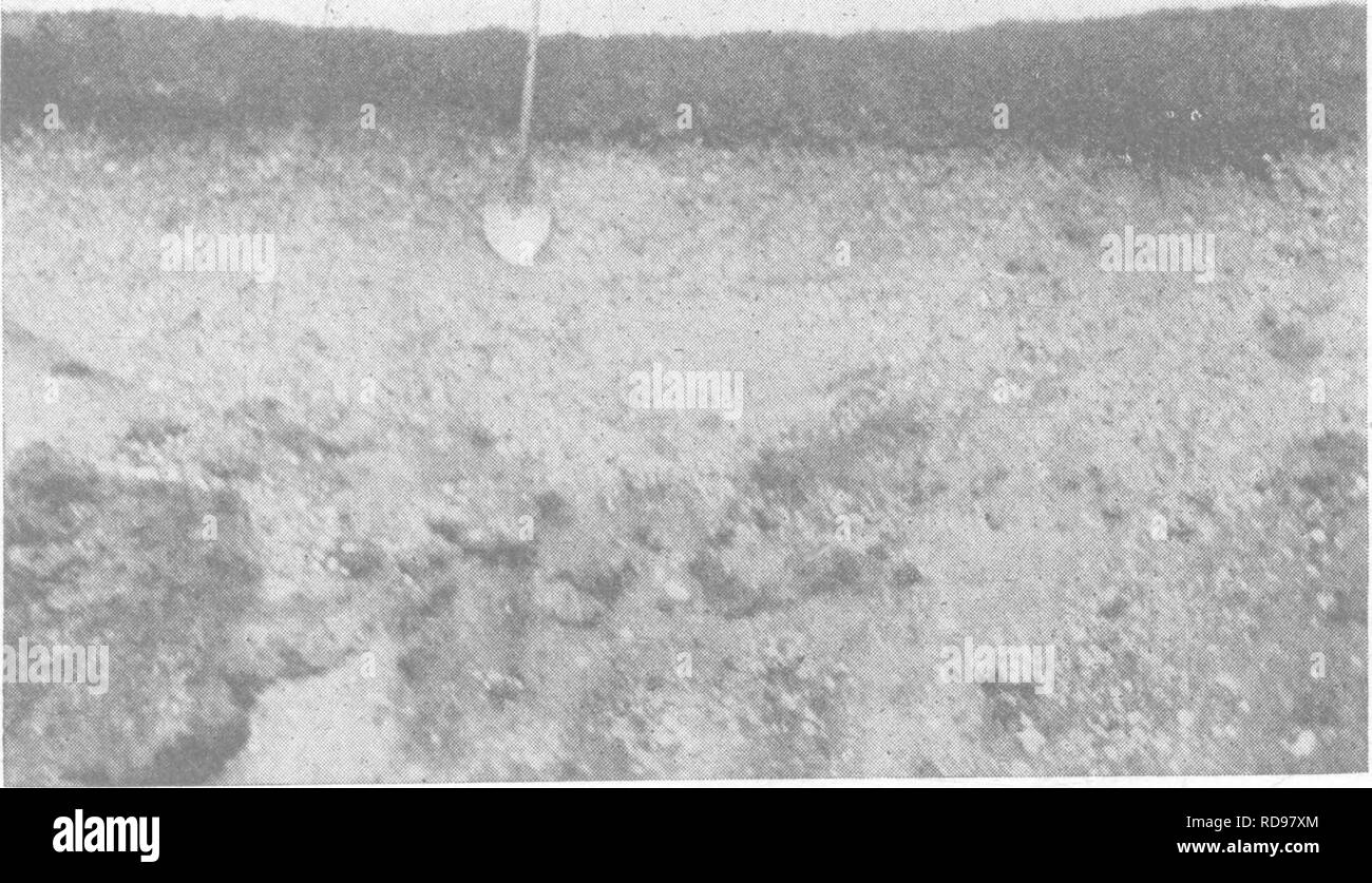 Silt loam Black and White Stock Photos & Images - Alamy