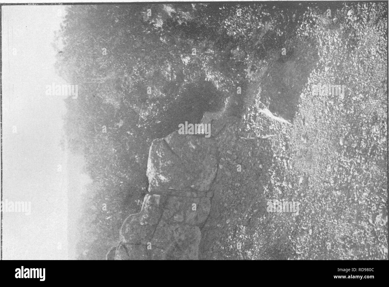 . Geology of the Narragansett basin. Geology. Ul o z > if) o DC O CD HI ...