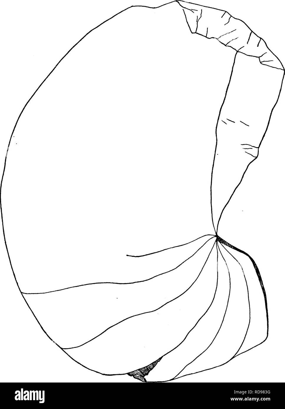 Upper greensand formation hi-res stock photography and images - Alamy