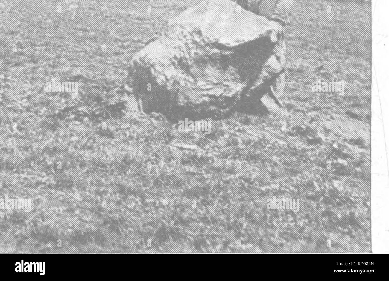 . Productive soils; the fundamentals of successful soil management and ...