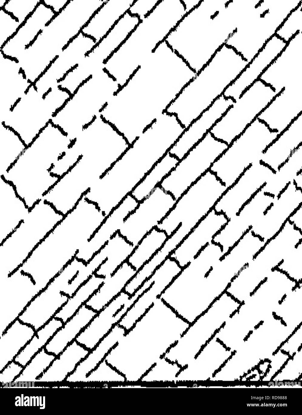 Altered amphibolite hi-res stock photography and images - Alamy