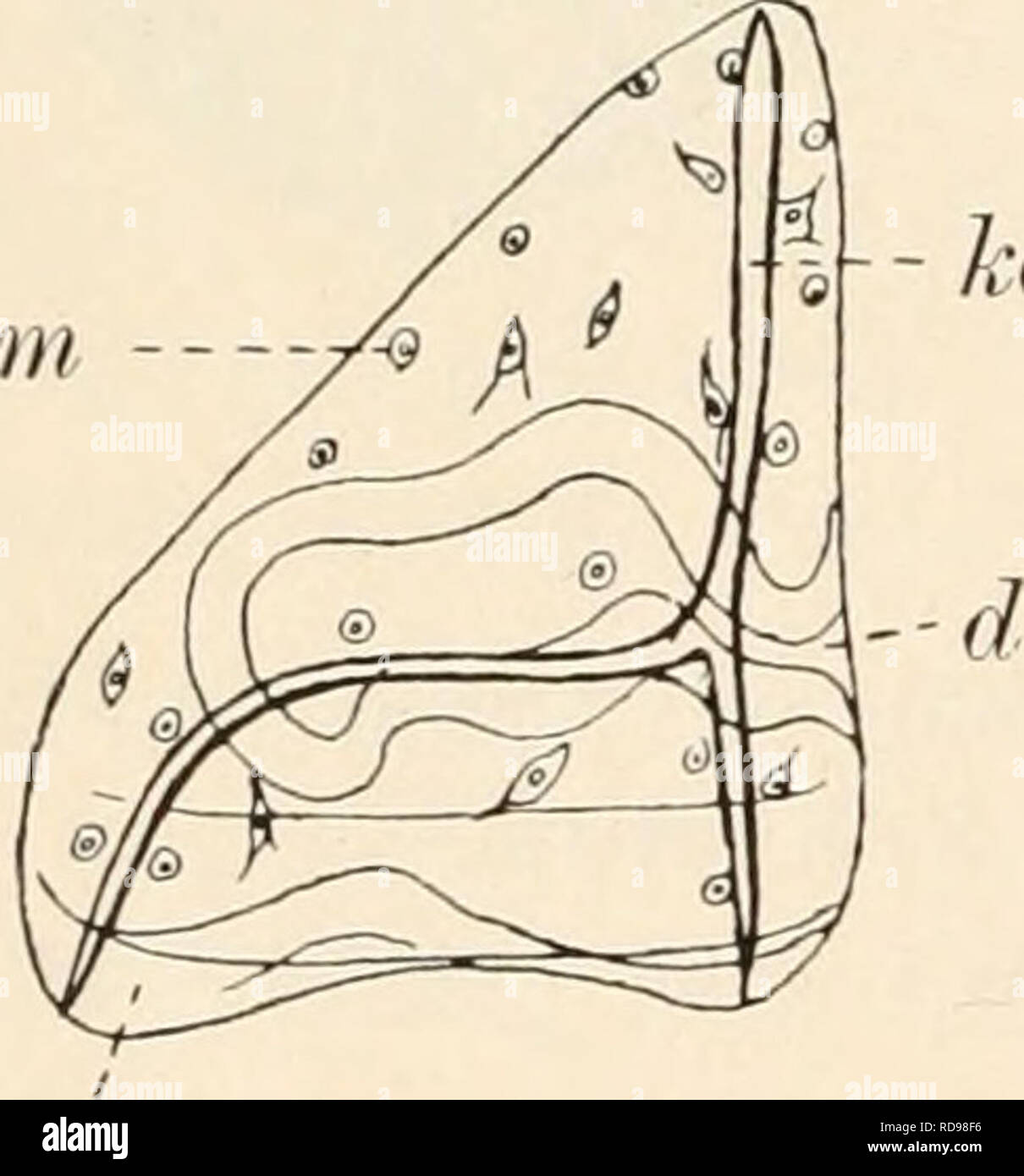 V anordnung hi-res stock photography and images - Alamy