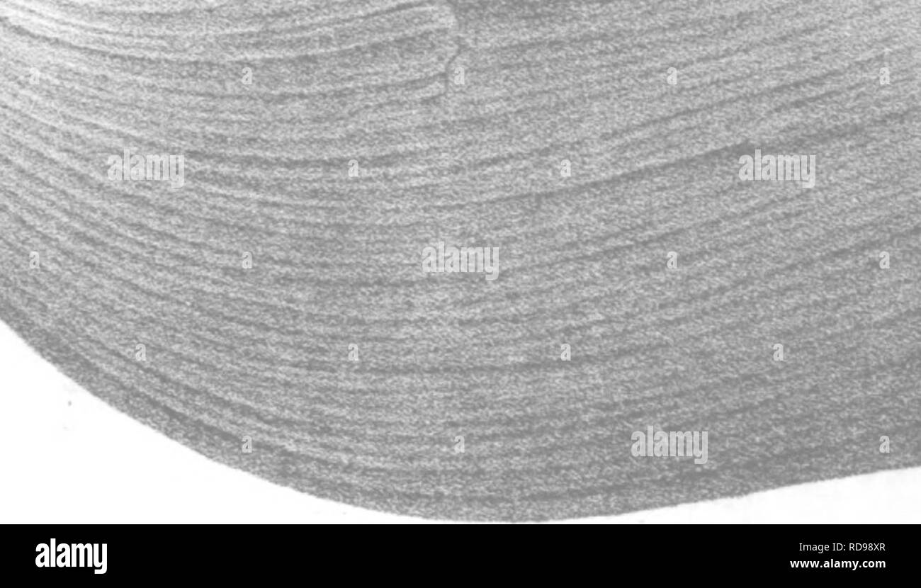 The sinclair c Black and White Stock Photos & Images - Alamy