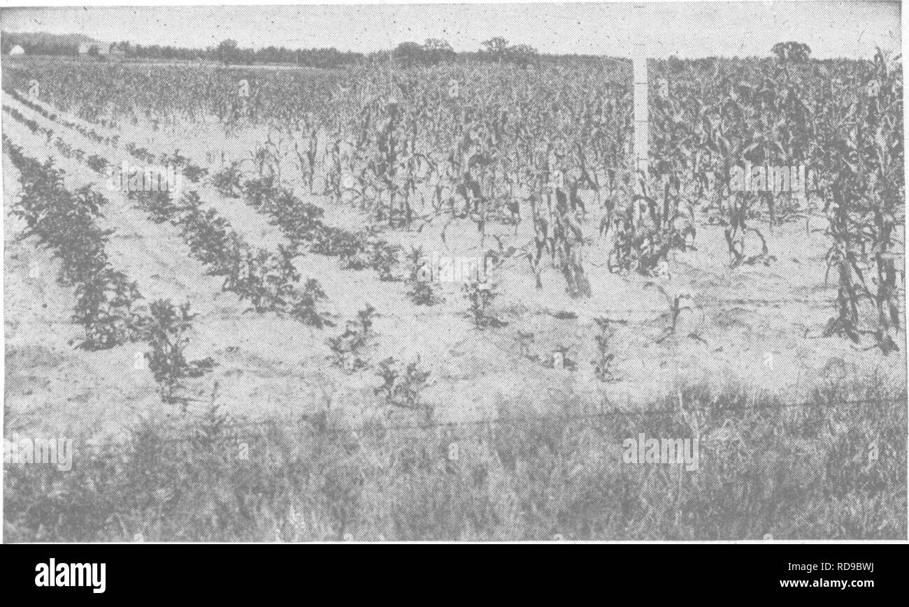 Soils types Black and White Stock Photos & Images - Alamy