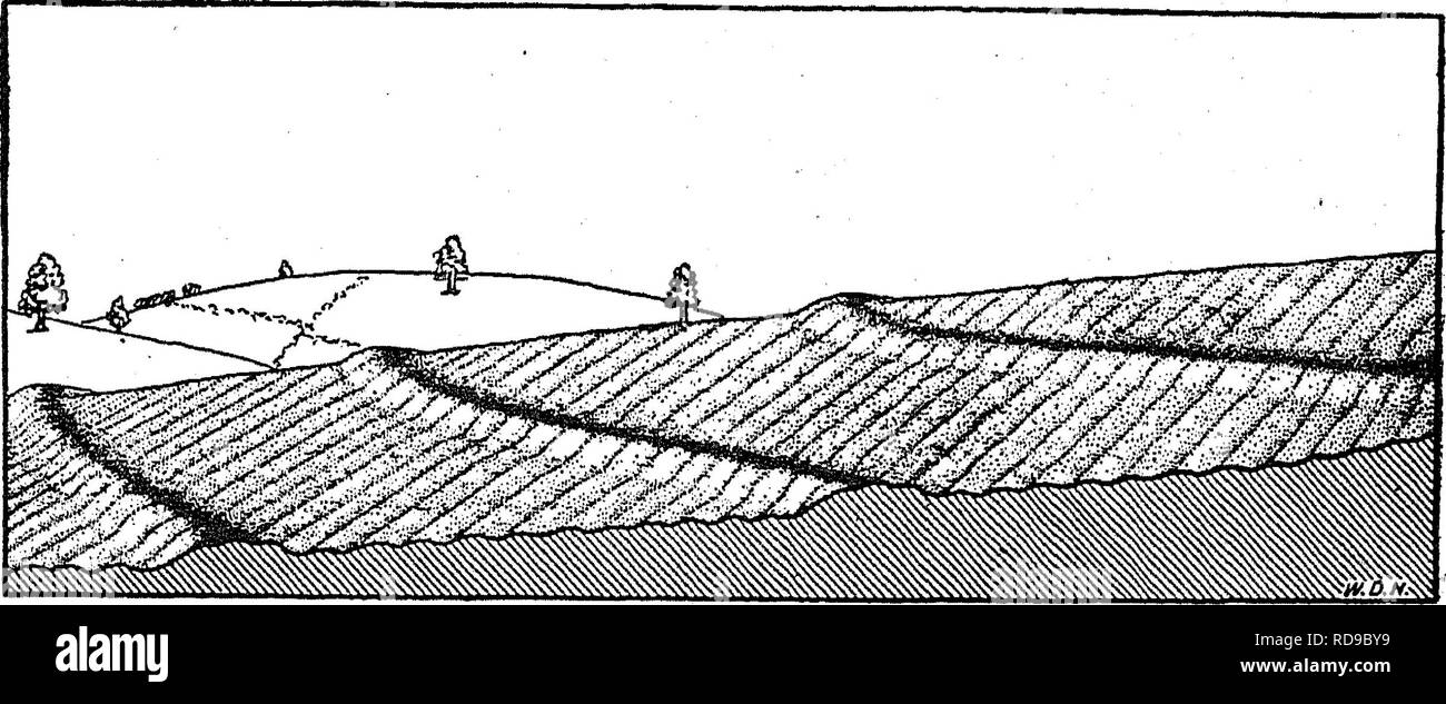 . Productive soils; the fundamentals of successful soil management and ...