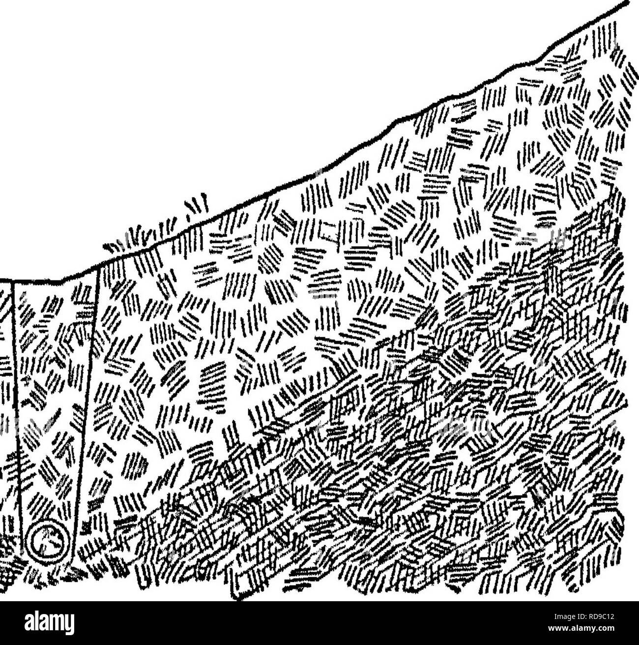 A Muddy Road Line Drawings