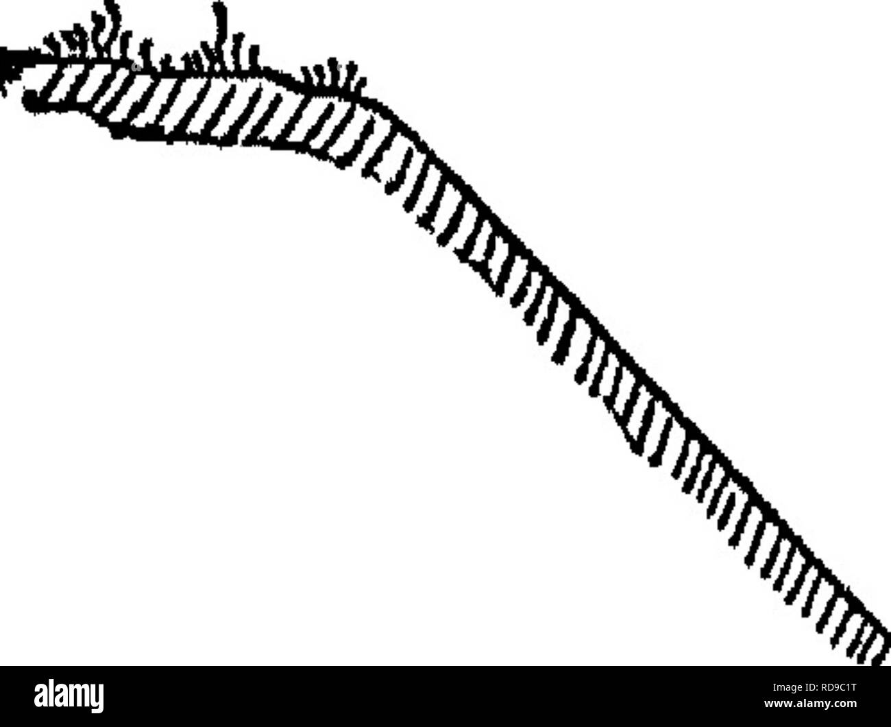 Shallow ditch line hi-res stock photography and images - Alamy